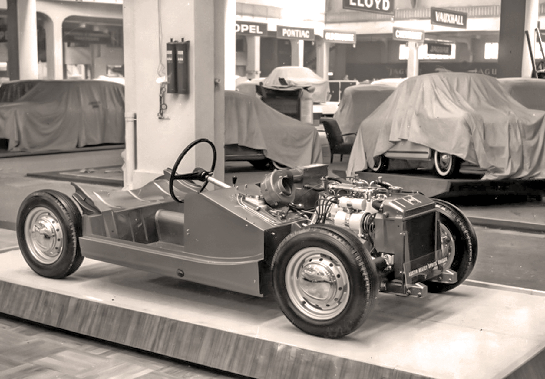 SHOW PREP FOR A SPRITE | Northwest Healeys